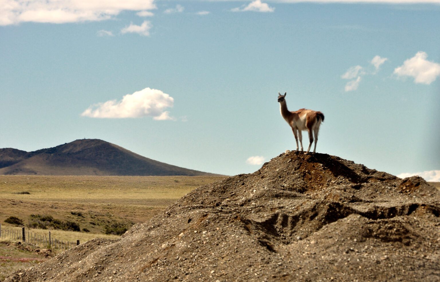ESTEPA PATAGÓNICA – REVELANDO NUESTRAS REGIONES