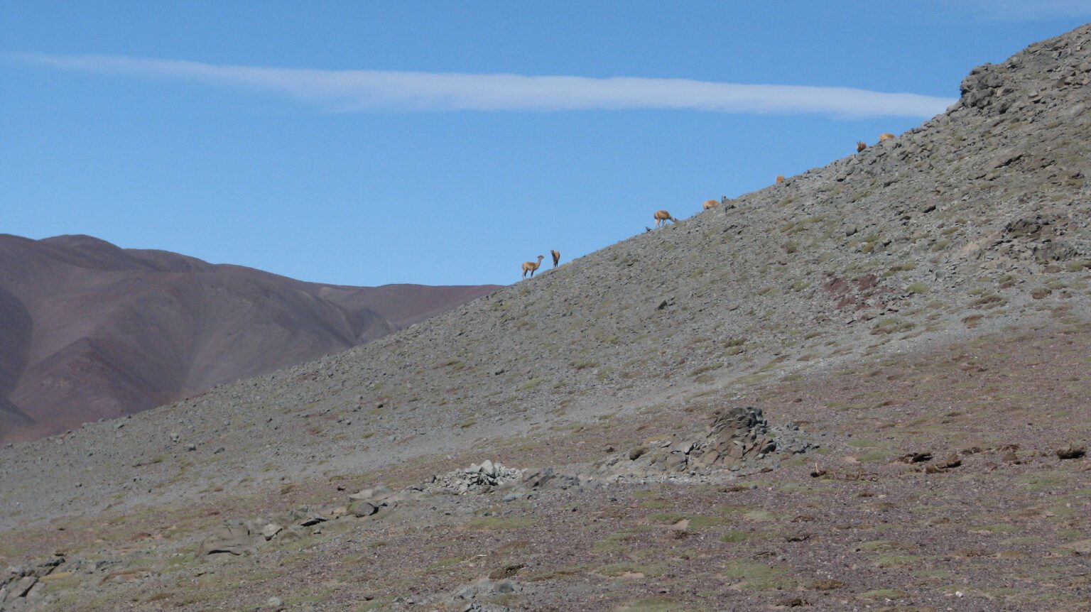 ALTOS ANDES – REVELANDO NUESTRAS REGIONES