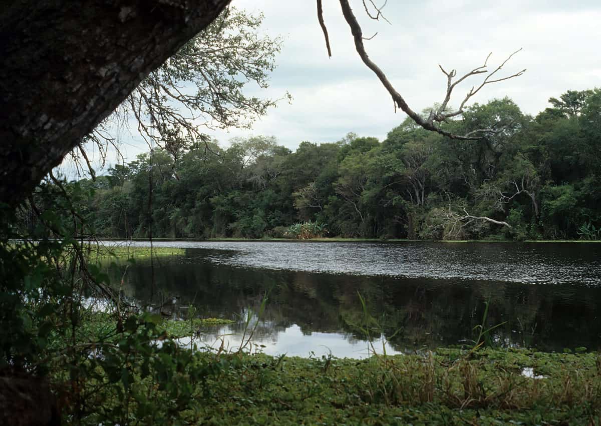 CHACO HÚMEDO – REVELANDO NUESTRAS REGIONES