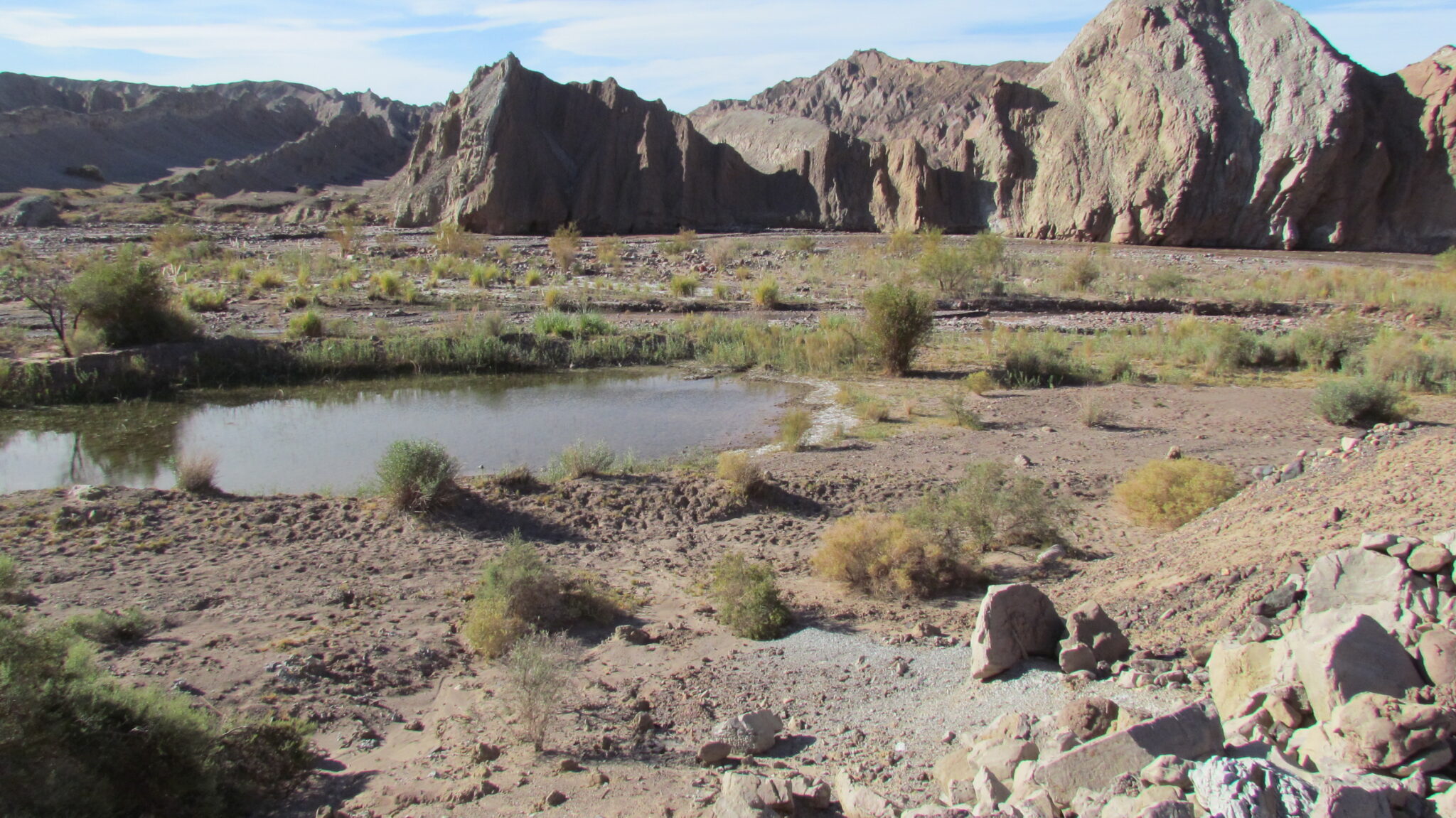 MONTE DE SIERRAS Y BOLSONES – REVELANDO NUESTRAS REGIONES