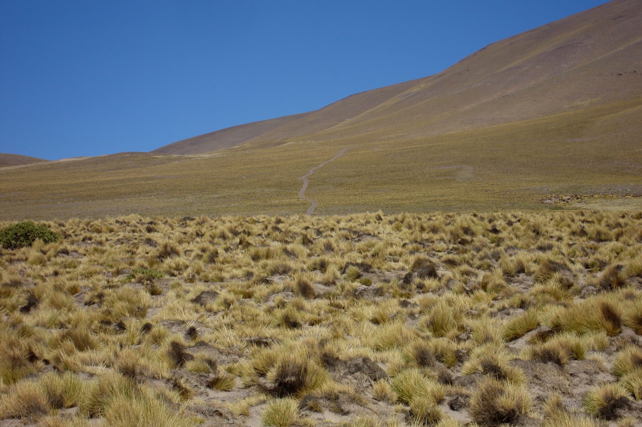 PUNA – REVELANDO NUESTRAS REGIONES