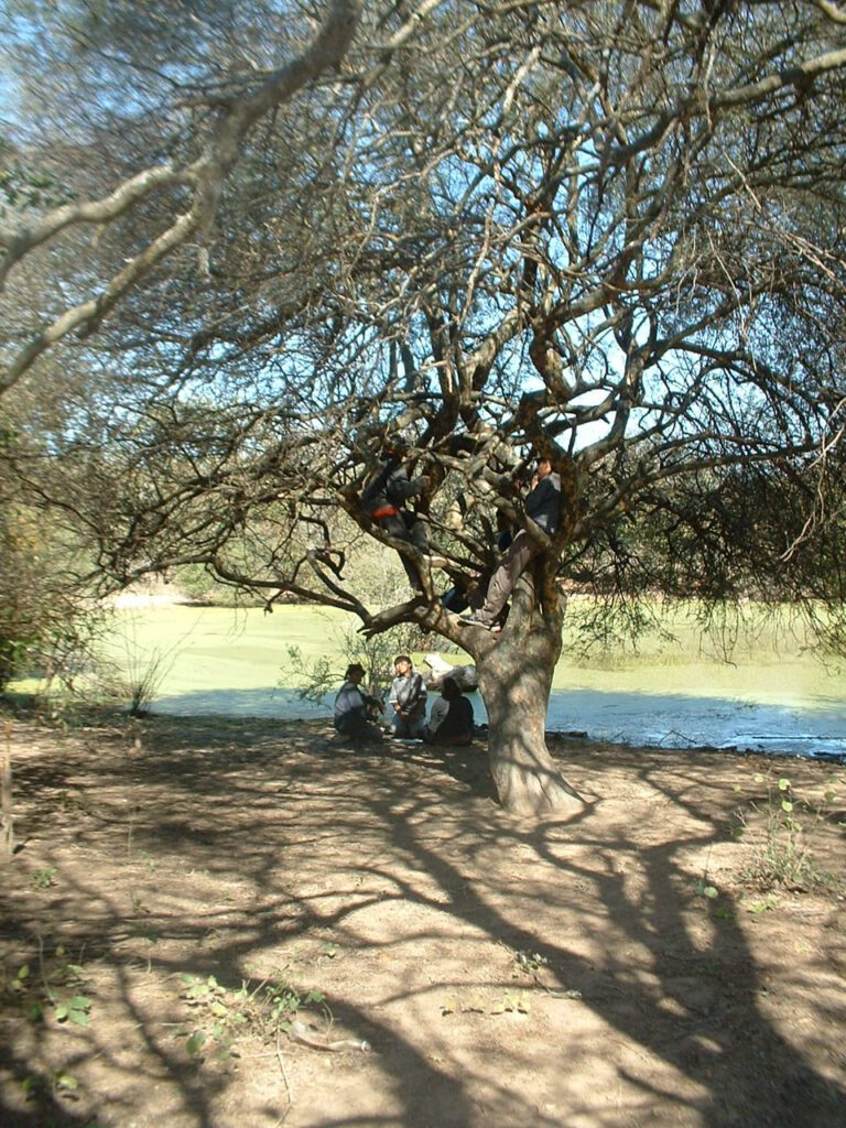 CHACO SECO – REVELANDO NUESTRAS REGIONES