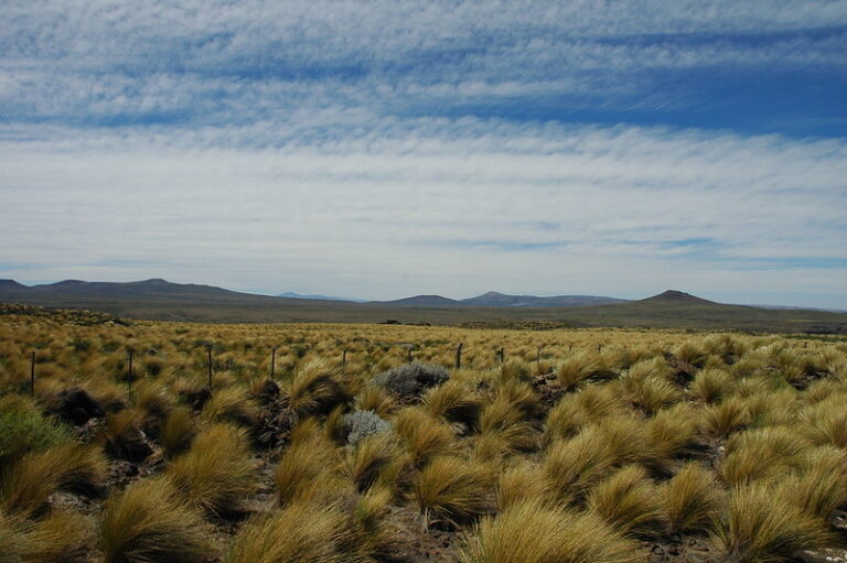 ESTEPA PATAGÓNICA – REVELANDO NUESTRAS REGIONES