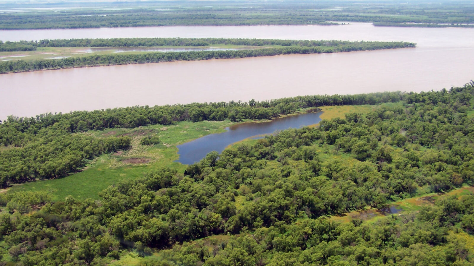 DELTA E ISLAS DEL PARANÁ – REVELANDO NUESTRAS REGIONES