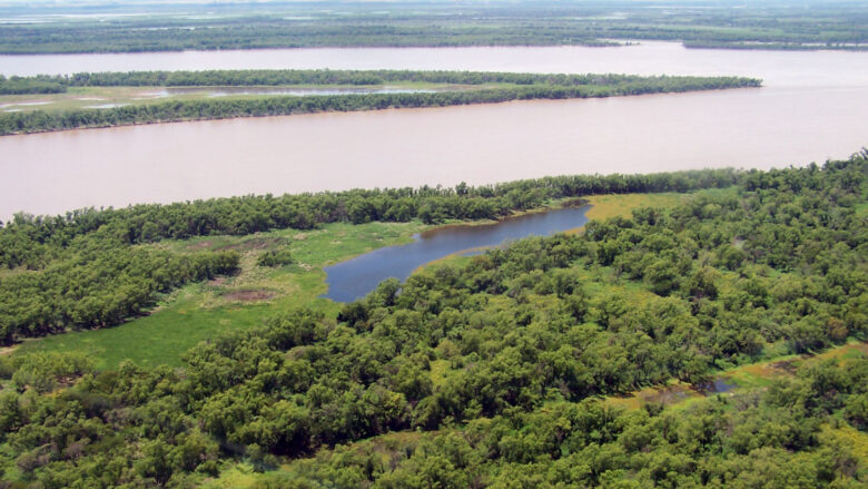 DELTA E ISLAS DEL PARANÁ – REVELANDO NUESTRAS REGIONES